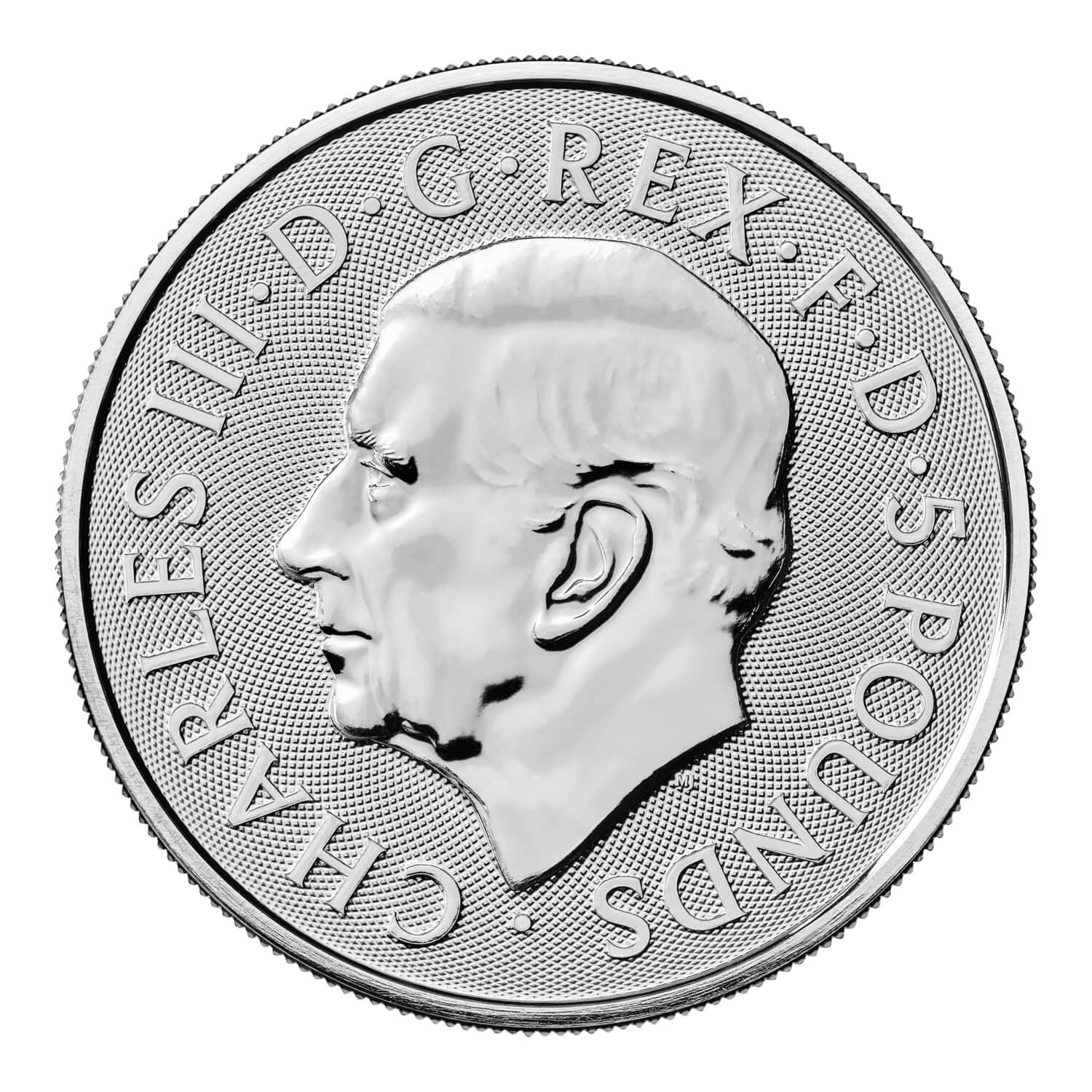 2025 Royal UK Mint Silver Tudor Beast Greyhound of Richmond Coin 2oz ...